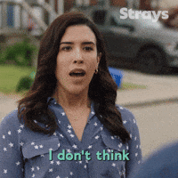 Strays GIFs on GIPHY - Be Animated