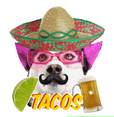 SWAGGY WOLFDOG GIFs on GIPHY - Be Animated