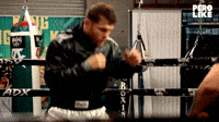 Canelo-punch GIFs - Get the best GIF on GIPHY