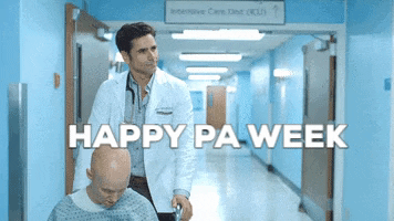 Paweek GIFs - Get the best GIF on GIPHY