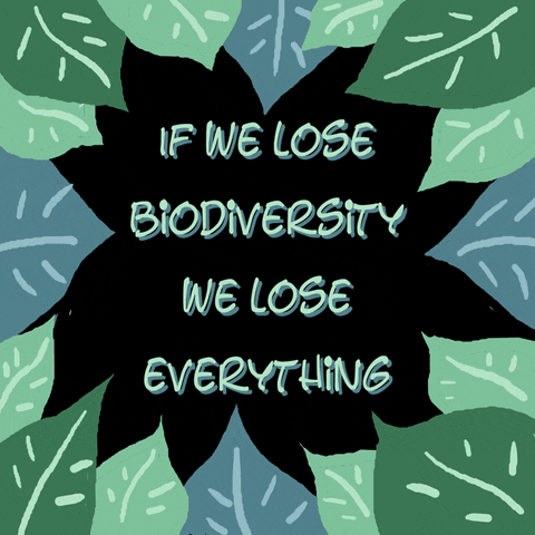If We Lose Biodiversity We Lose Everything GIFs - Get the best GIF on GIPHY