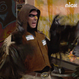 Coopers-hawk GIFs - Get the best GIF on GIPHY