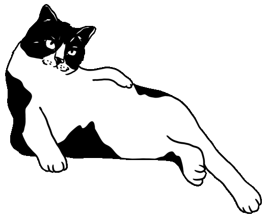 Cat Chill Sticker by Wonderyash for iOS & Android | GIPHY