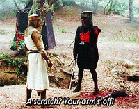 Black Knight Monty Python Gif