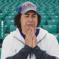Sad Lsu Fans