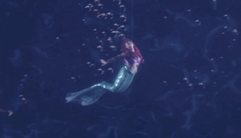 The Little Mermaid GIF by ABC Network - Find & Share on GIPHY