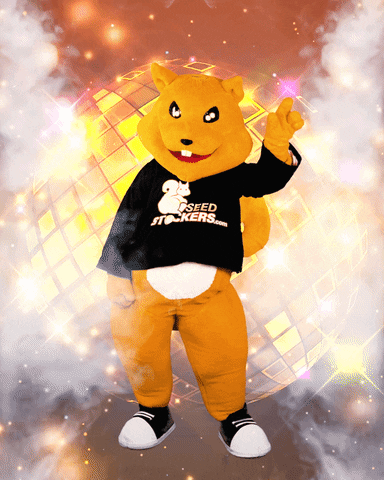 Veverka GIFs - Get the best GIF on GIPHY