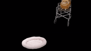 Cat Table Meme GIFs - Find & Share on GIPHY