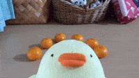 Mandarin-oranges GIFs - Get the best GIF on GIPHY