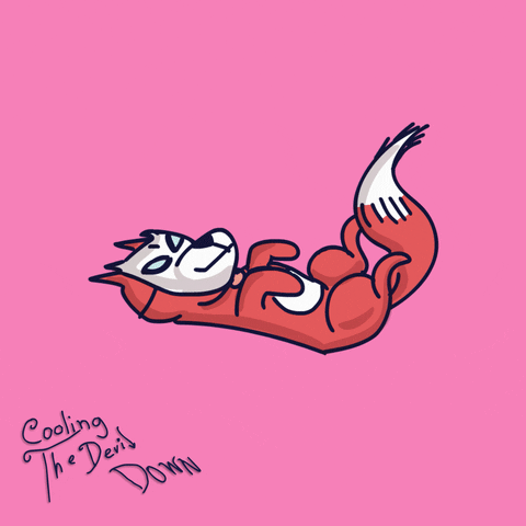 Cissa GIFs - Get the best GIF on GIPHY