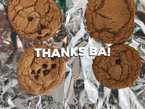 i made ba’s best chocolate chip cookie recipe and it was the best ...