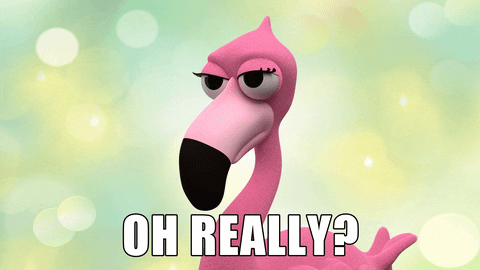 Mad Flamingo GIF by orientaltrading - Find & Share on GIPHY