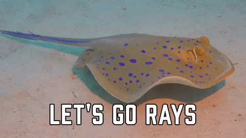 Go-rays GIFs - Get the best GIF on GIPHY