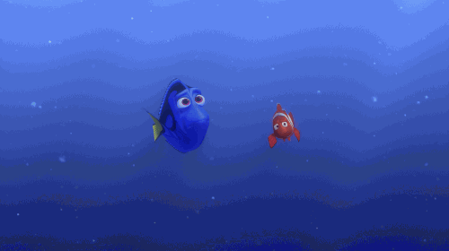 Finding Nemo Whale GIF by Disney Pixar - Find & Share on GIPHY