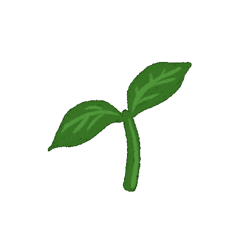 Spring Plant Sticker for iOS & Android | GIPHY