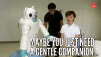 Best-companion GIFs - Get the best GIF on GIPHY