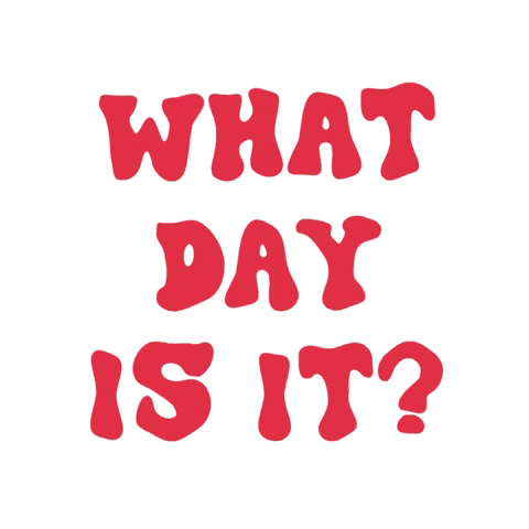 Today I Am So GIFs - Get the best GIF on GIPHY