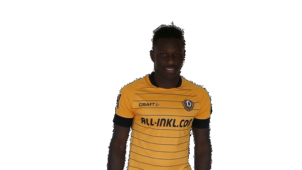 Goal Bundesliga Sticker by SG Dynamo Dresden for iOS & Android | GIPHY