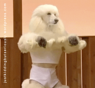 Strong Dog GIFs - Get the best GIF on GIPHY