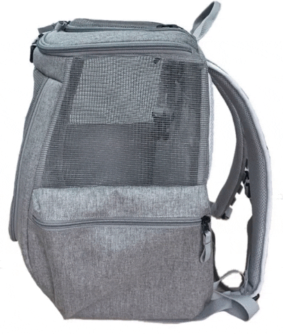 Travelcat GIFs - Find & Share on GIPHY