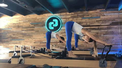 Pilatesgirls GIFs - Get the best GIF on GIPHY