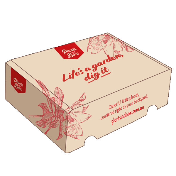 Garden Delivery Box | Fasci Garden