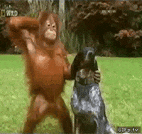 Person Falling Over Gif