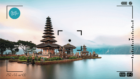 Travel Holiday GIF by SweetEscape - Find & Share on GIPHY