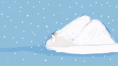 Good-snowy-morning GIFs - Get the best GIF on GIPHY
