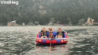 Dog-boat GIFs - Get the best GIF on GIPHY