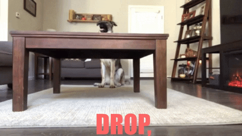 Disaster Preparedness GIFs - Get the best GIF on GIPHY