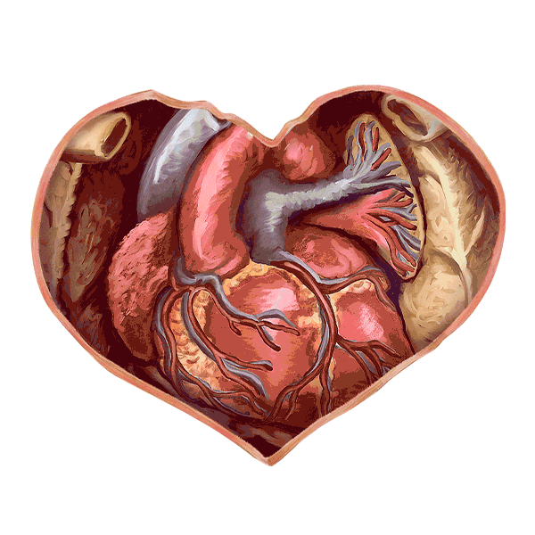 Alberta Women's Health Foundation Sticker for iOS & Android | GIPHY