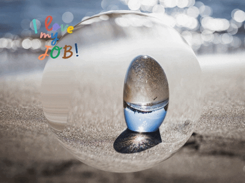 11 Below GIFs - Get the best GIF on GIPHY