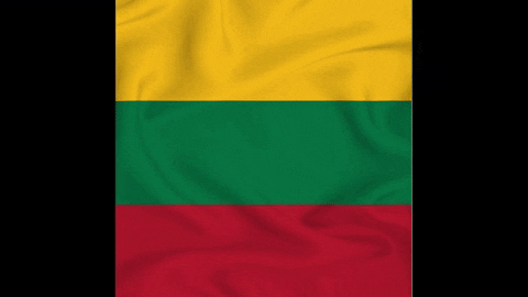 Lithuania Flag GIF by Tilis - Find & Share on GIPHY