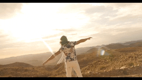 Pnl GIFs - Get the best GIF on GIPHY