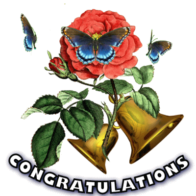 Acclamation GIFs - Get the best GIF on GIPHY