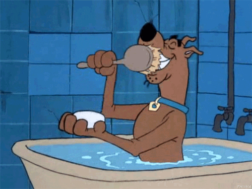 Bath Teeth GIFs - Get the best GIF on GIPHY