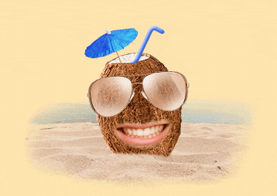Coconut GIFs - Get the best GIF on GIPHY