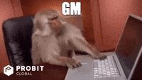 Monkey Computer Gif