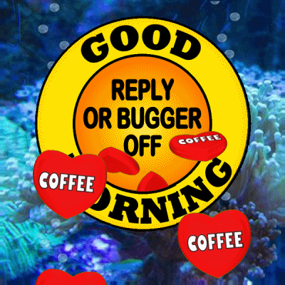 Good-reply GIFs - Get the best GIF on GIPHY