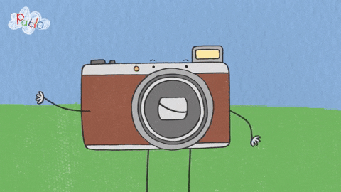 Snapshot GIFs - Find & Share on GIPHY