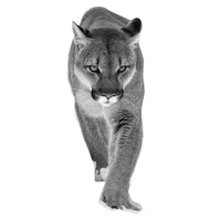 Roar Naturaleza Sticker by PUMA for iOS & Android | GIPHY