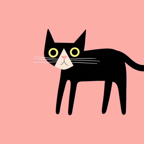 Cat Animation GIF by Studio AKA - Find & Share on GIPHY