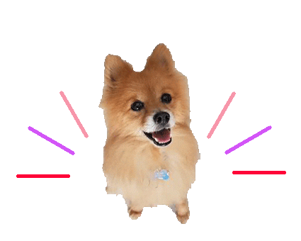 PXD Pole Studio GIFs on GIPHY - Be Animated