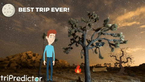 Wonderful Trip GIFs - Get the best GIF on GIPHY
