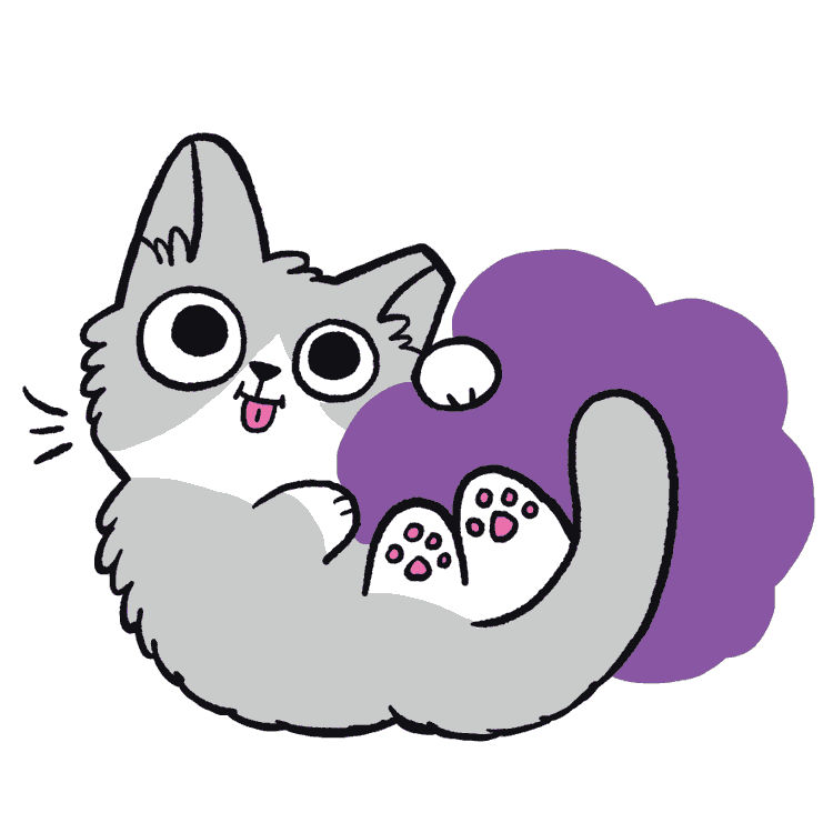 Cat Wink Sticker by meowbox for iOS & Android | GIPHY