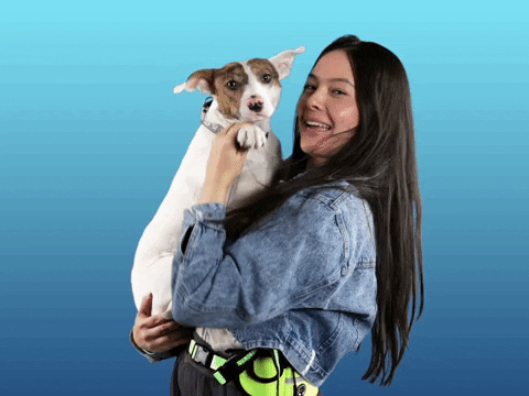 Dog Wave GIF by Originals - Find & Share on GIPHY