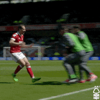 Chris Cohen Football GIF by Nottingham Forest - Find & Share on GIPHY