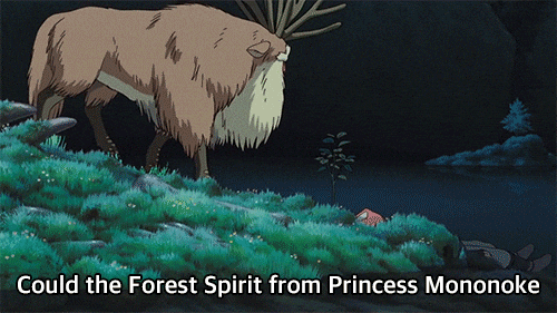 Animated Forest With Animals Gif