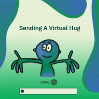 Sending Virtual Hug Gif
